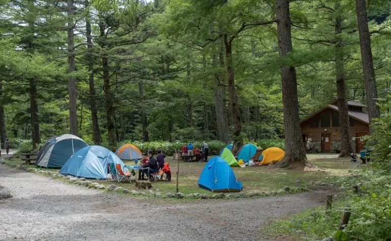 15 Surefire Tips for Planning Your First Trip to Japan - The Bamboo ...