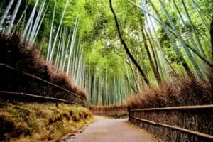 27 Books on Thailand That'll Spark Your Wanderlust - The Bamboo Traveler