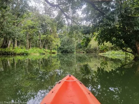 15 Chill Things to Do in Rio Dulce & Livingston - The Bamboo Traveler