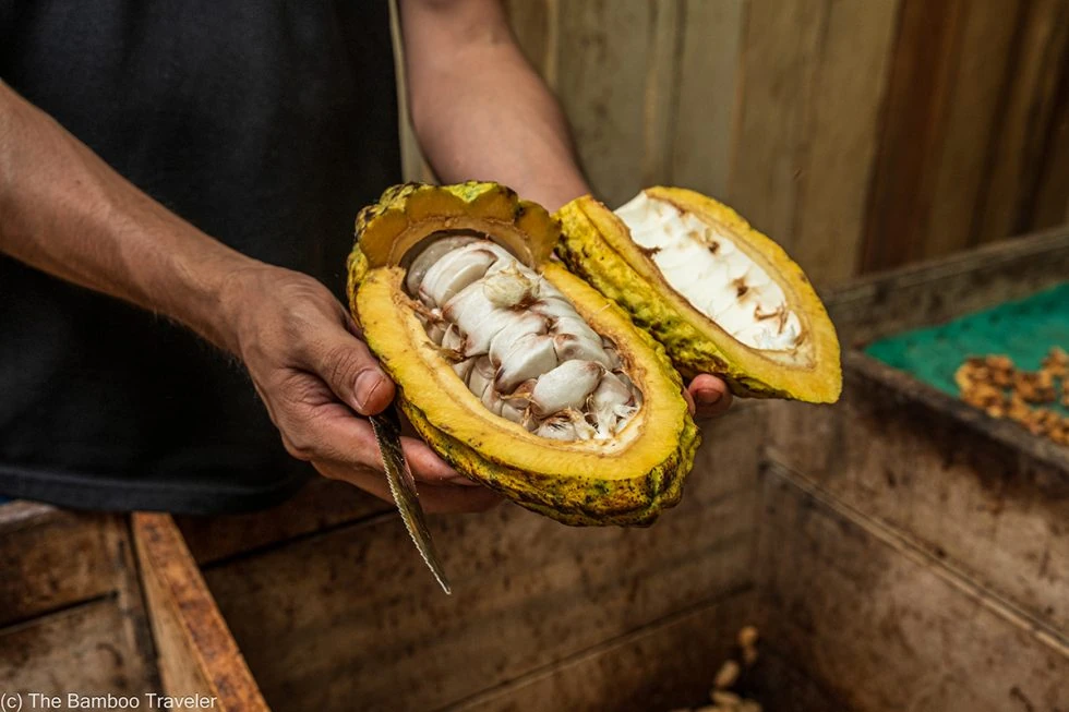 Ecuadorian Cuisine: Top 40 Dishes to Try in Ecuador - The Bamboo Traveler