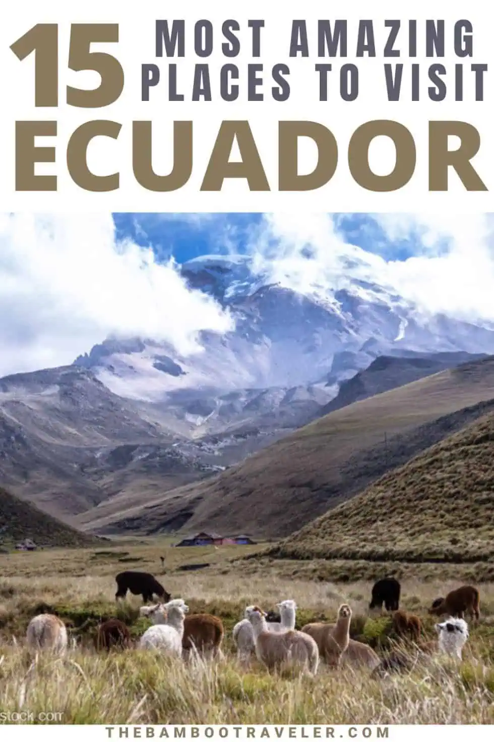 Top 15 Places to Visit in Ecuador - The Bamboo Traveler